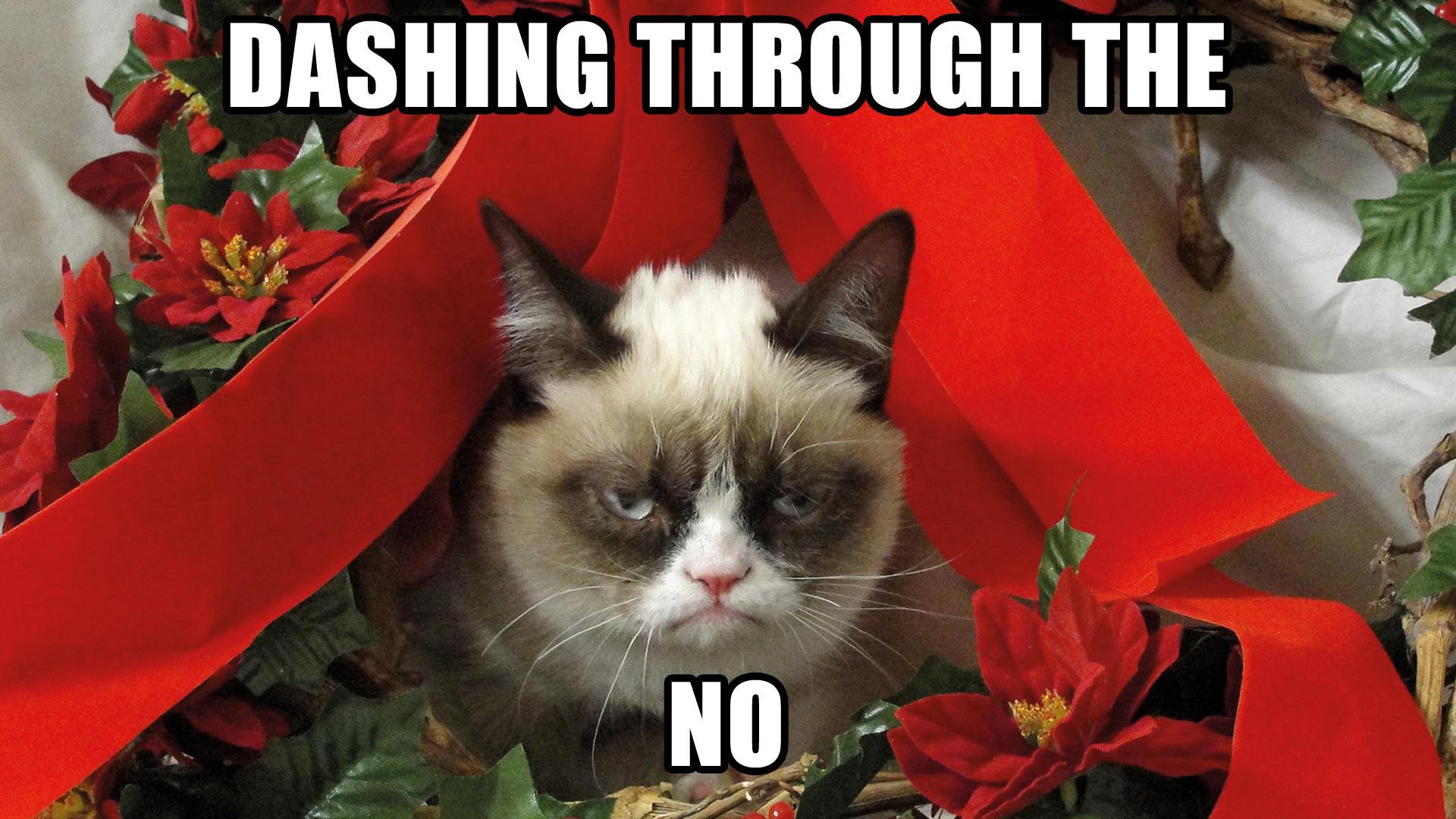 To The theoretically Unknown Person Who Tagged Me With This Christmas 